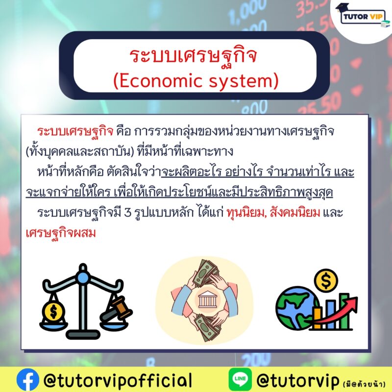 สรุป ระบบเศรษฐกิจ 3 รูปแบบ เข้าใจง่ายแน่นอน! | TUTOR VIP